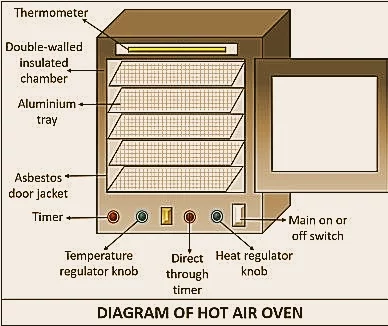 Parts Of Hot Air Oven Hot Air Circulation Oven With Matching Parts